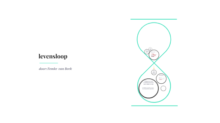 levensloop by femke van beek on Prezi