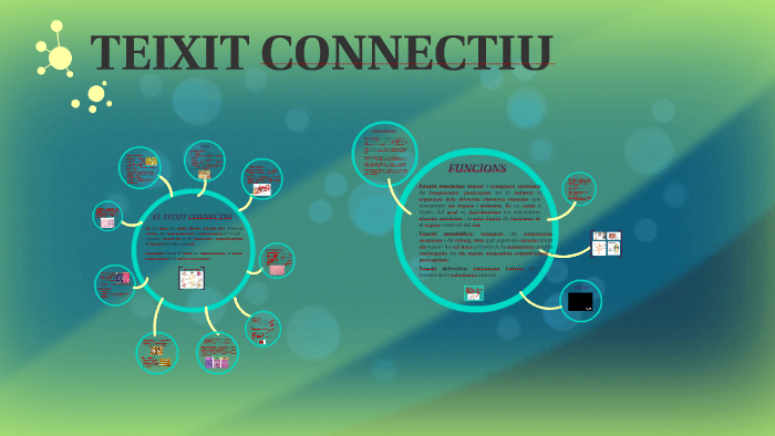 TEIXIT CONNECTIU by Cristina Jiménez on Prezi