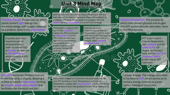 Unit 3 Mind Map by David Velazquez on Prezi