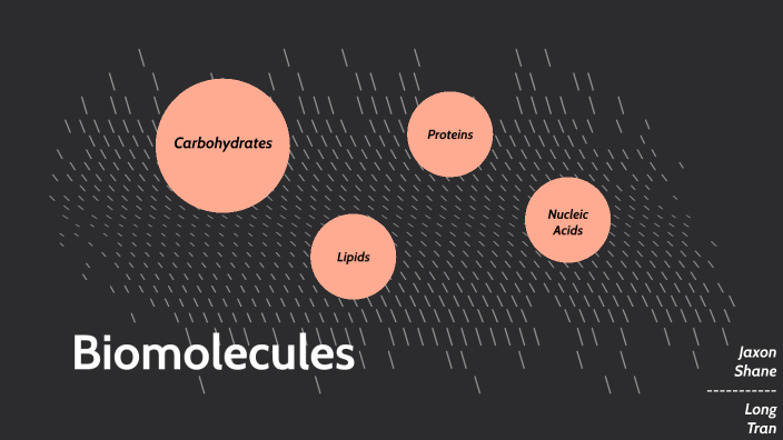 Biomolecule Project by Jaxon Shane on Prezi