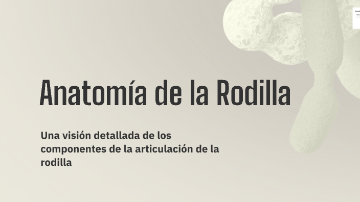 Anatomía de la Rodilla by Renzo Pizzurno on Prezi