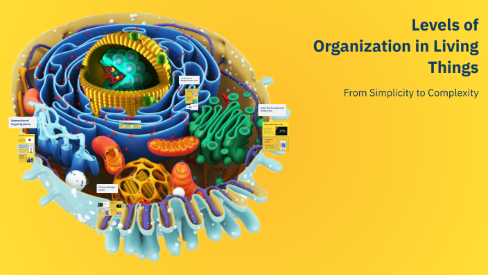 Levels of Organization in Living Things by Krysten Brown on Prezi