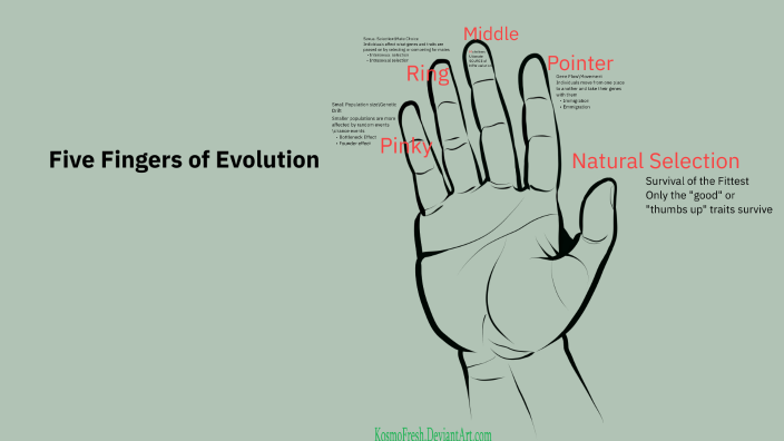 Five Fingers of Evolution by Julie Tillitt on Prezi