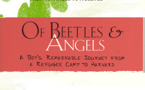 Of Beetles & Angels ? by nabeel butt on Prezi