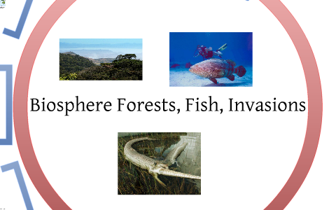 Biosphere Forests, Fish, Invasions by Ryan Felder on Prezi