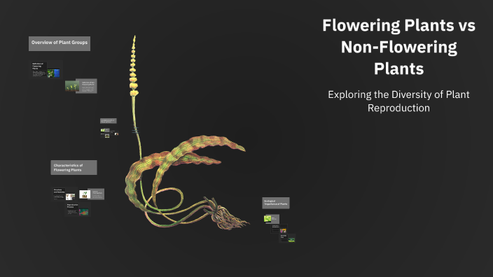 Flowering Plants vs Non-Flowering Plants by Min Thu on Prezi