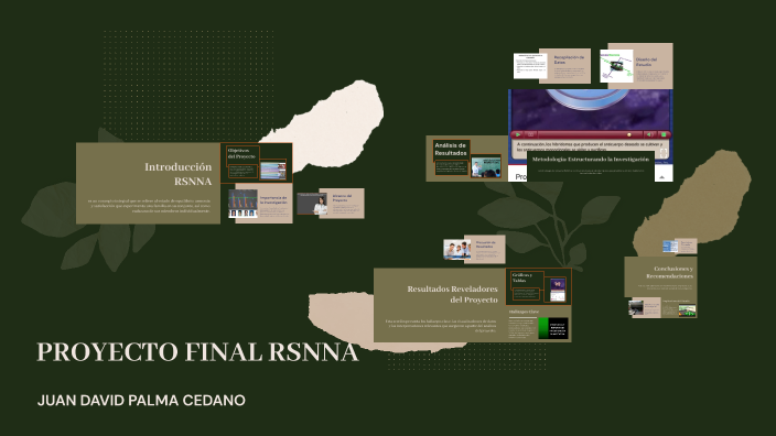 PROYECTO FINAL RSNNA by JUAN DAVID PALMA CEDANO on Prezi