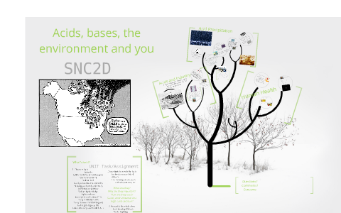 Acids, bases, you and the environment by Dan Way on Prezi