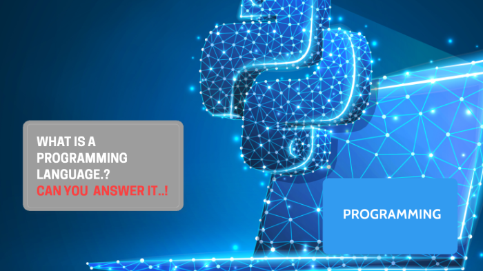 What is programming language by Forhad Hossen