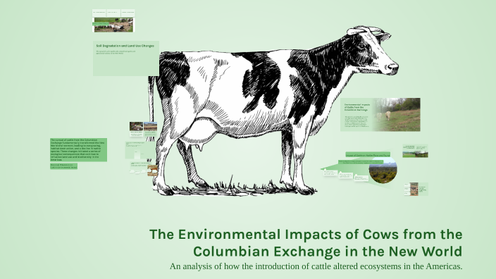 The Environmental Impacts of Cows from the Columbian Exchange in the ...