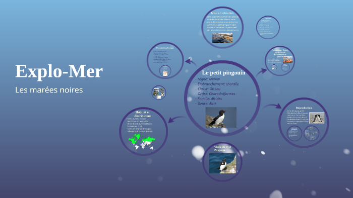 Explo-Mer by Alice Turmel on Prezi