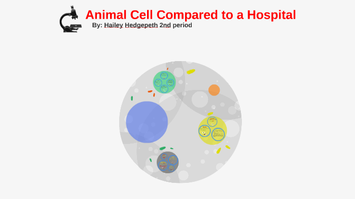 Animal Cell Compared to a Hospital by Ciara Hailey Hedgepeth on Prezi