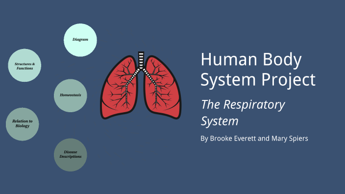 Human Body System Project by Brooke Everett on Prezi