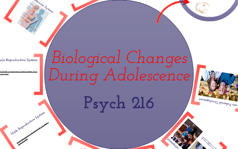 Biological Changes During Adolescence by Jennifer George on Prezi