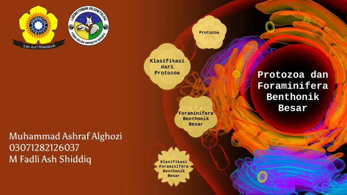 Protozoa dan Foraminifera Benthonik Besar by Muhammad Ashraf Alghozi on ...