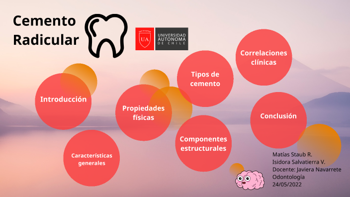 cemento radicular by matias staub on Prezi
