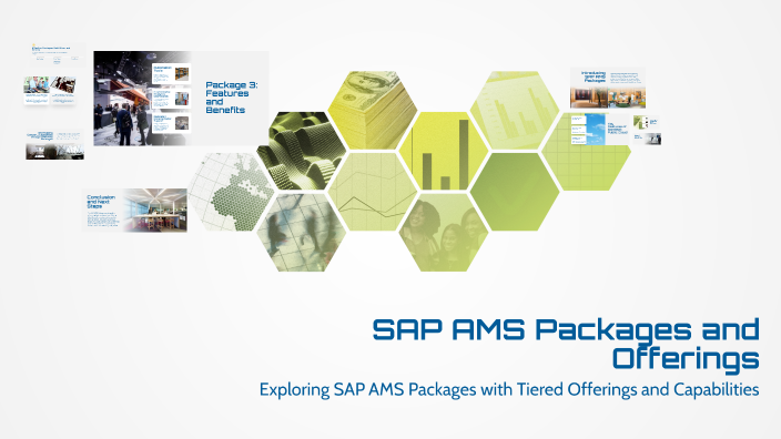 SAP AMS Packages and Offerings by Natarajan Narayanasami on Prezi