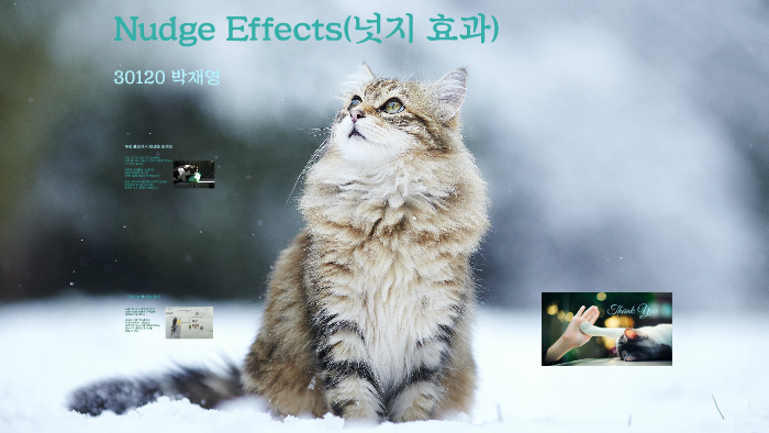 Nudge Effects by 박 재영 on Prezi