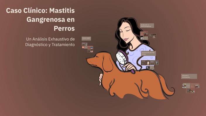 Caso Clínico: Mastitis Gangrenosa en Perros by Brayan Stiwen Herrera ...
