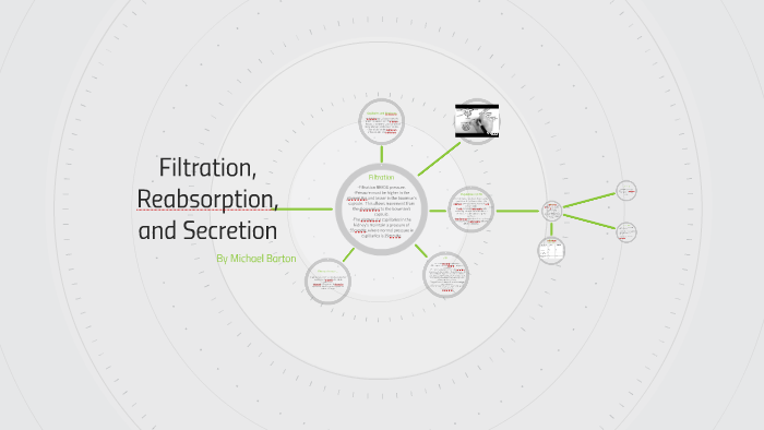 Filtration, Reabsorption, and Secretion by Mike B on Prezi