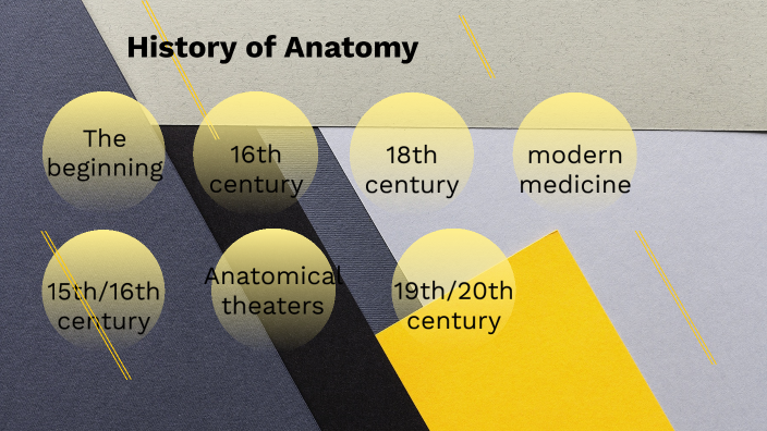 History of Anatomy by John Gowin on Prezi