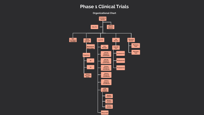 Phase 1 Organizational Chart by jennifer gross on Prezi