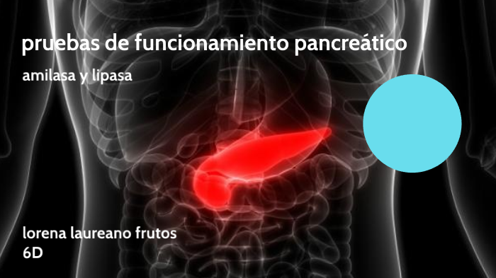 pruebas de funcionamiento pancreatico by Lorena Frutoz on Prezi Next