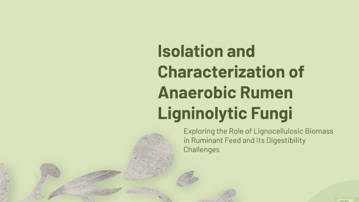 Isolation and Characterization of Anaerobic Rumen Ligninolytic Fungi by ...