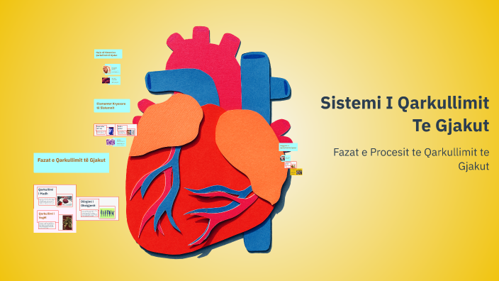 Sistemi I Qarkullimit Te Gjakut by neo arapi on Prezi
