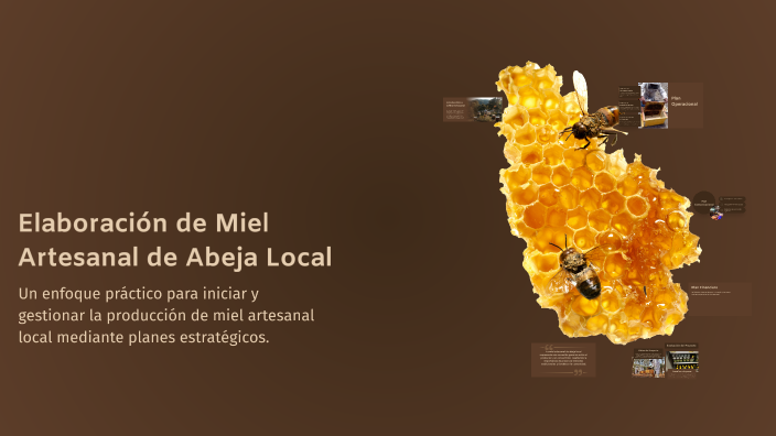 Elaboración de Miel Artesanal de Abeja Local by Jheymi Solorzano on Prezi