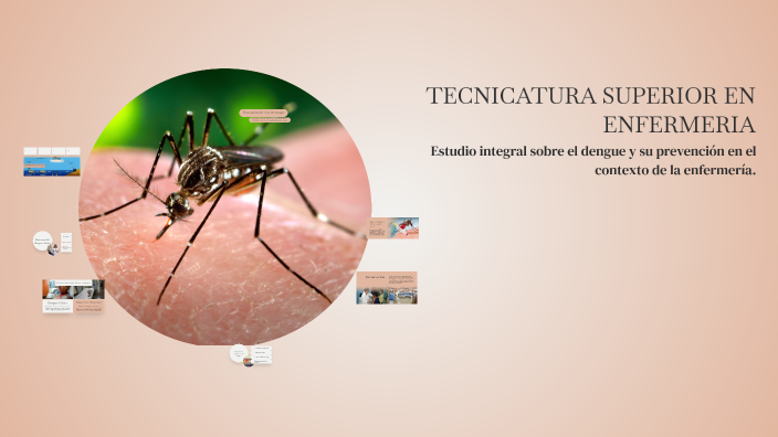 TECNICATURA SUPERIOR EN ENFERMERIA by amanda bustos on Prezi