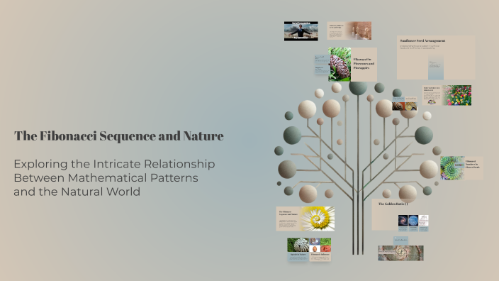 The Fibonacci Sequence and Nature by Monira Akter Tonni on Prezi