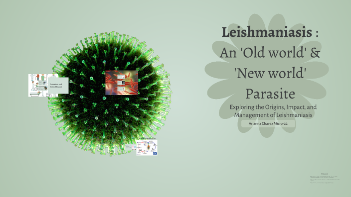 Understanding Pathogen Phylogenetic Classification by ari on Prezi