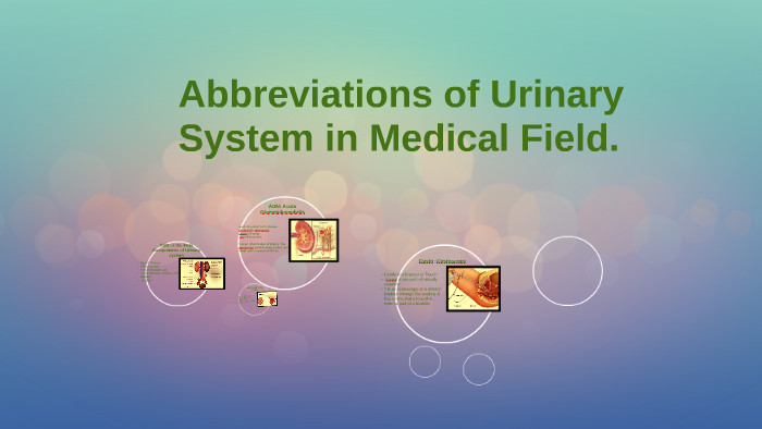 Abbreviations of Urinary System in Medical Field. by Petros Tesfazion