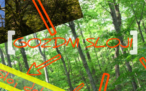 Gozdni sloji by Amadej Petan on Prezi