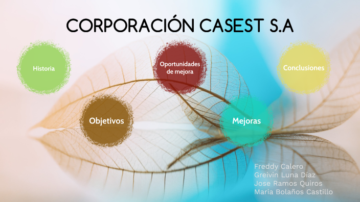 Corporación Caest S.A by Greivin Luna Díaz on Prezi