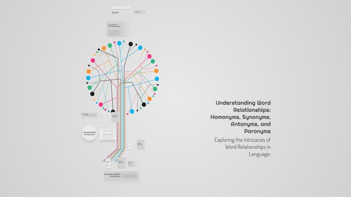 Understanding Word Relationships: Homonyms, Synonyms, Antonyms, and ...
