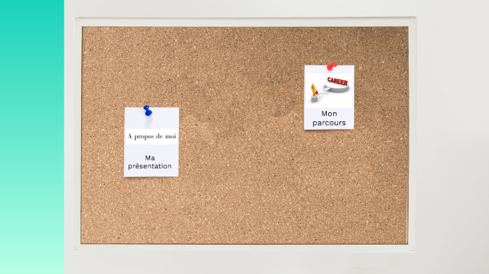 Validation de mon projet professionnel by julie desette on Prezi