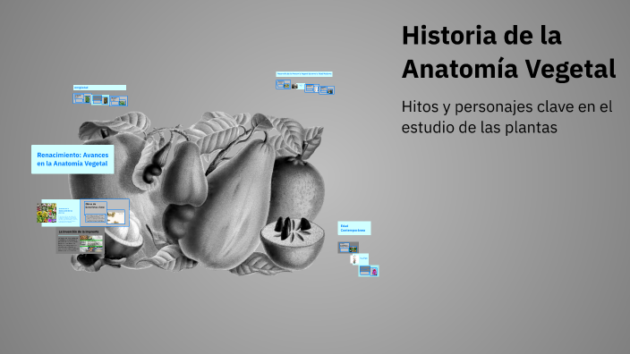 Historia de la Anatomía Vegetal by Josa Erazo on Prezi