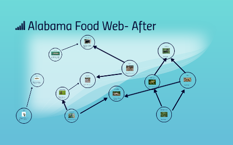 Alabama Food Web- After by danielle aguayo on Prezi