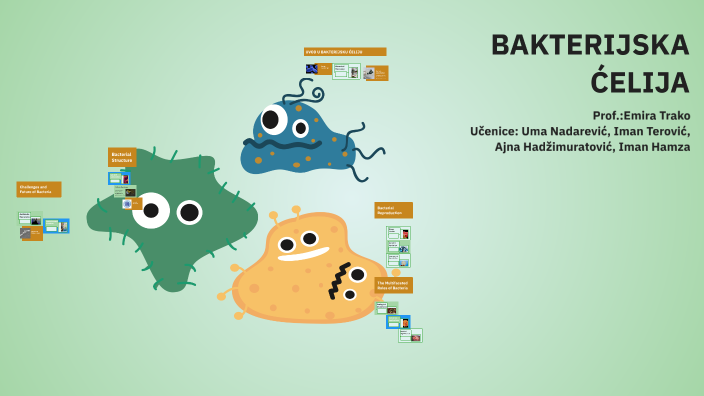 The Fascinating World of Bacteria by iman hamza on Prezi