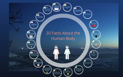 20 Facts About The Human Body by Science Prezis on Prezi