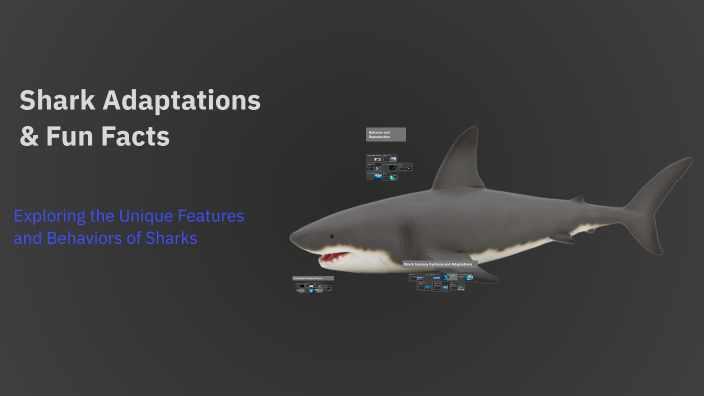 Shark Adaptations & Fun Facts by Kevin L. McKinley on Prezi