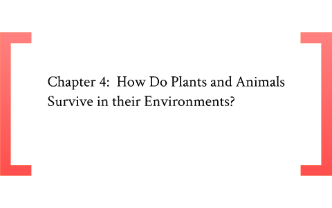 National Geographic Life Science: Chapter 4-How Do Plants and Animals ...