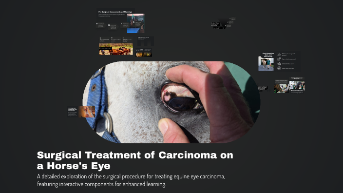 Surgical Treatment of Carcinoma on a Horse's Eye by Irene Teh on Prezi
