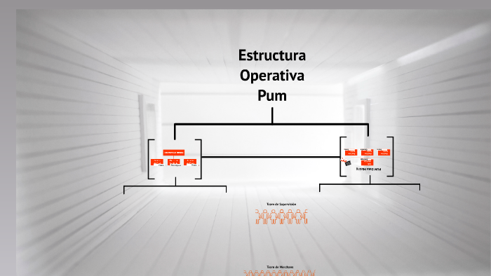 Estructura Operativa by David Andres Garcia Chavez on Prezi