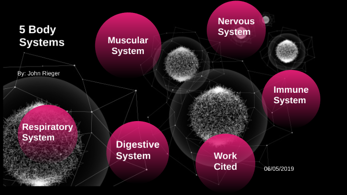 5 Body Systems by John Rieger on Prezi