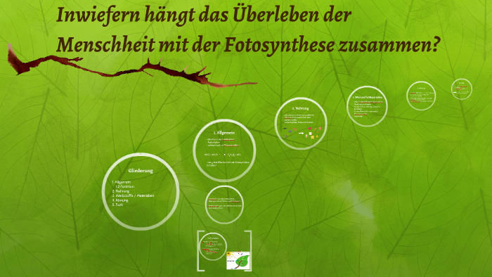 Fotosynthese by Timo Jüptner on Prezi