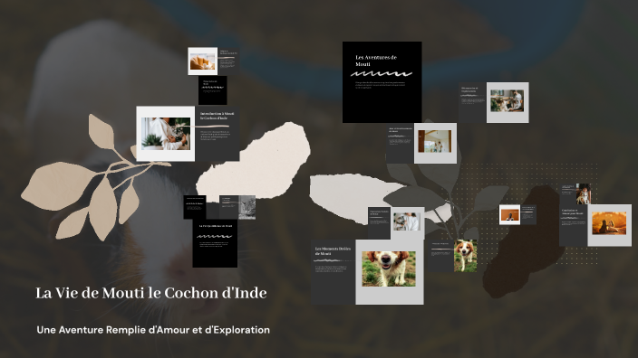 La Vie de Mouti le Cochon d'Inde by Clémence Branco on Prezi