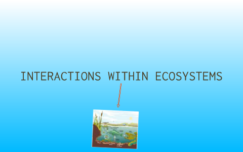 Interactions Within Ecosystems Mind Map by Shanza Saleem on Prezi